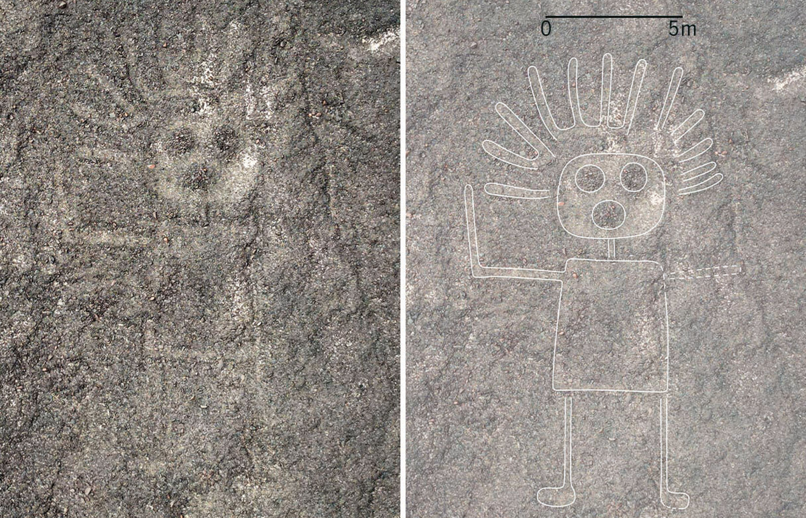 Nowe rysunki z Nazca