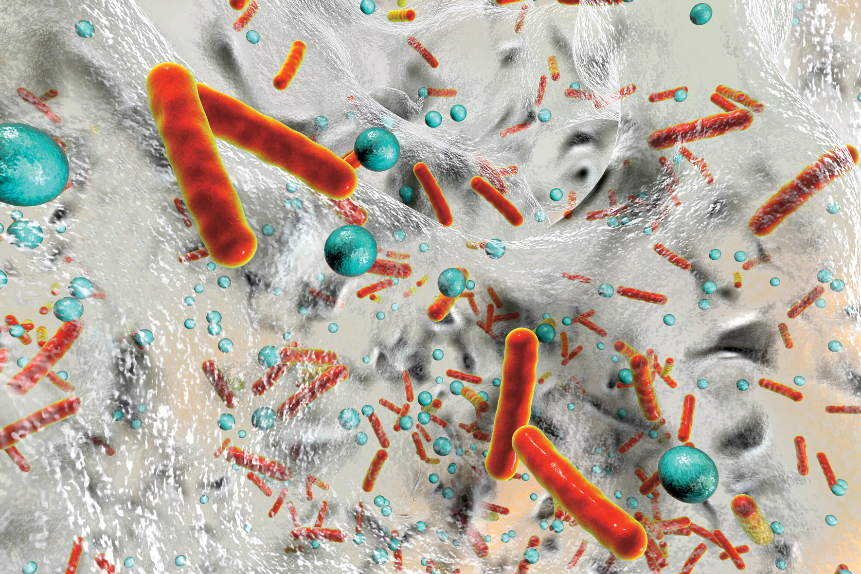 WOŚP zbiera na walkę z sepsą. Czym jest ta choroba? Układ odpornościowy ...