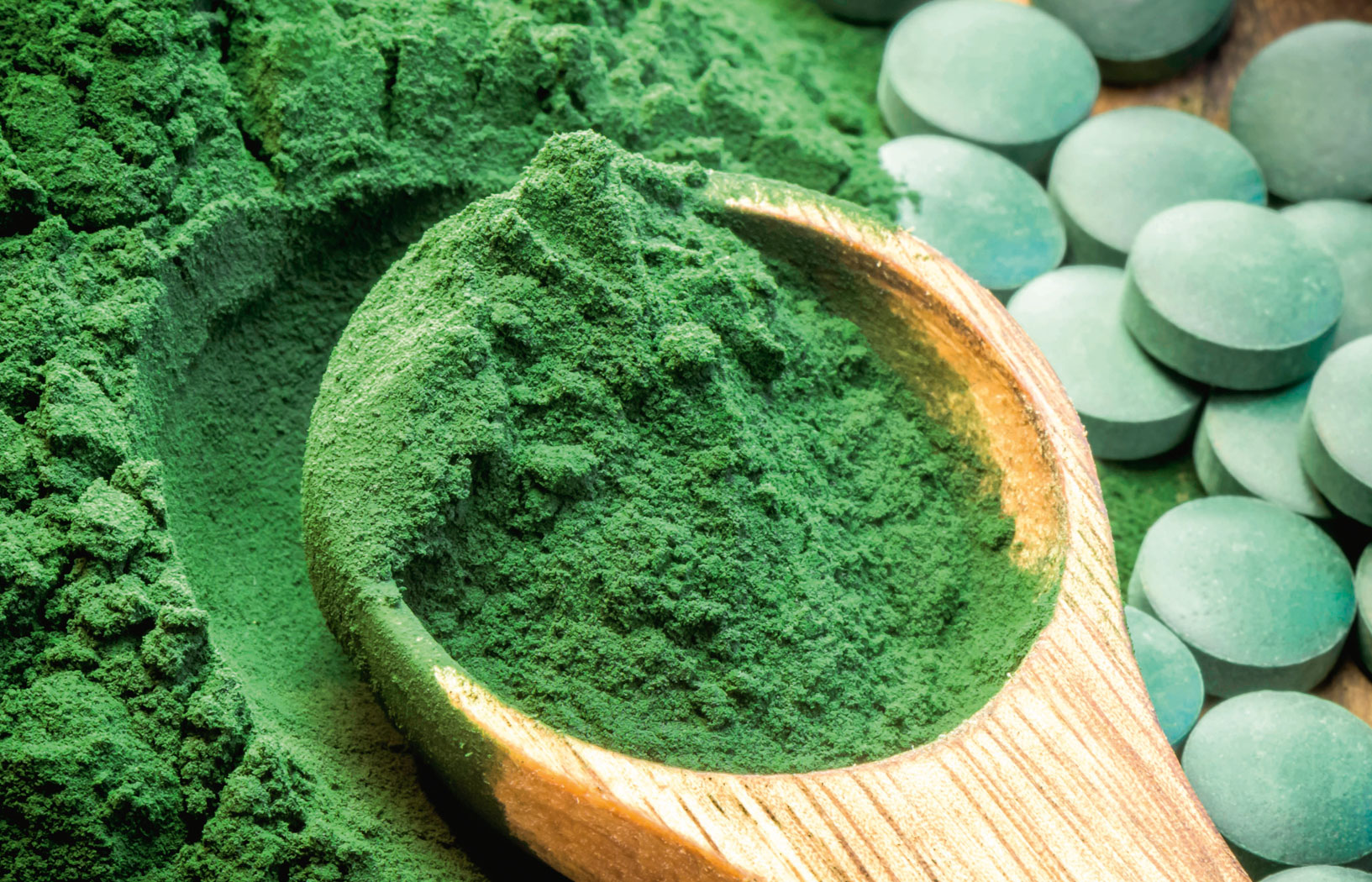 Czy sinice są sine?