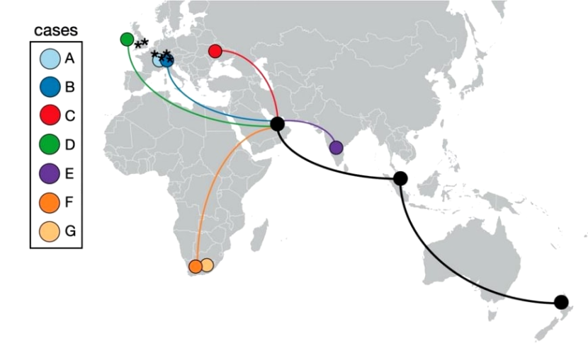 Tajemnica lotu EK448. Czy testy przed podróżą mają sens? - Polityka.pl