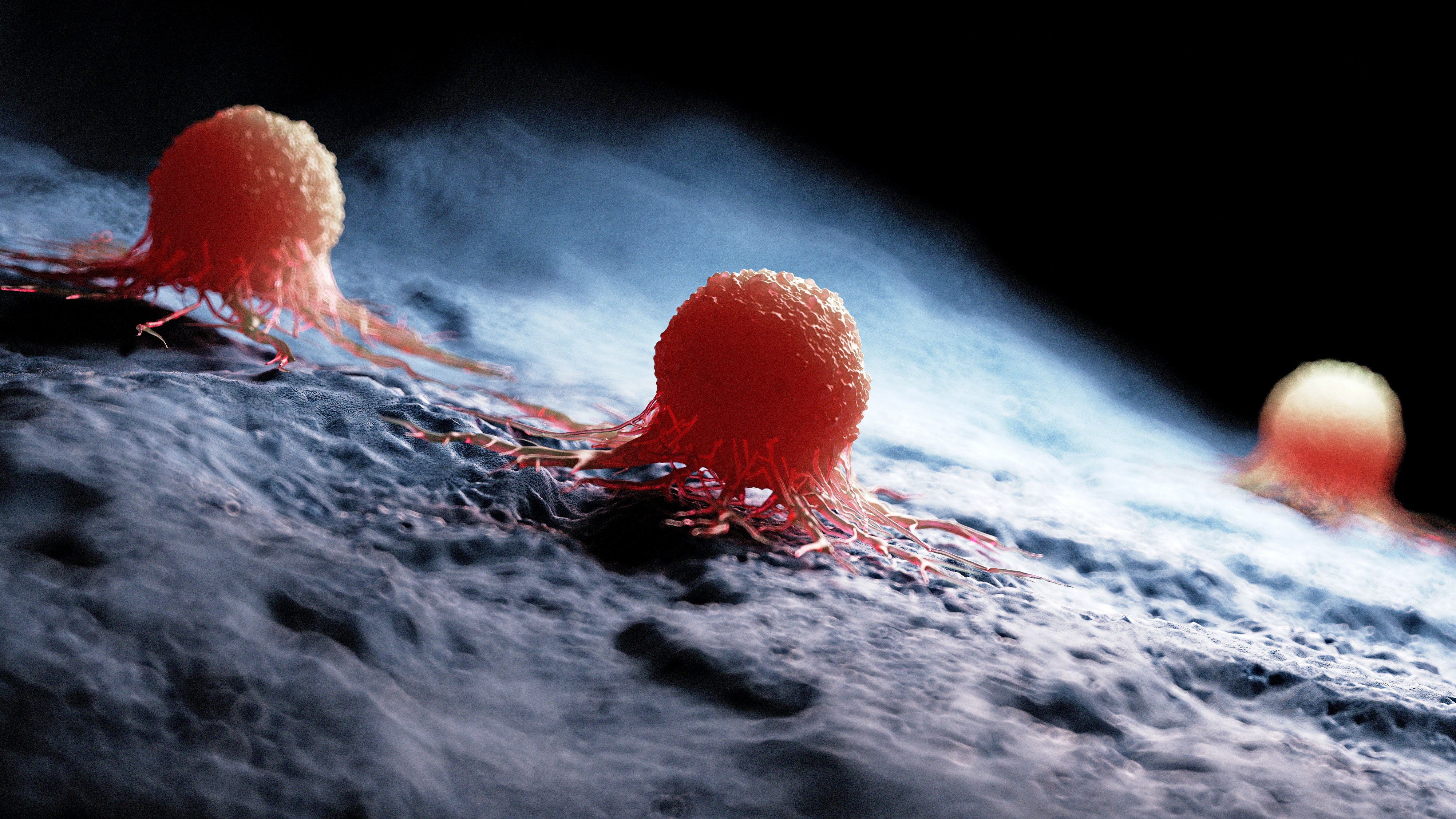 Czy nowotwory to zmora współczesnych czasów?