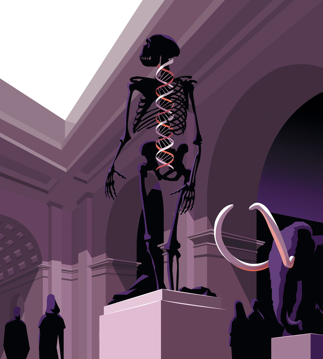 Homoniny i homonidy. Jak powstał człowiek, Homo sapiens? Teoria Darwina ...