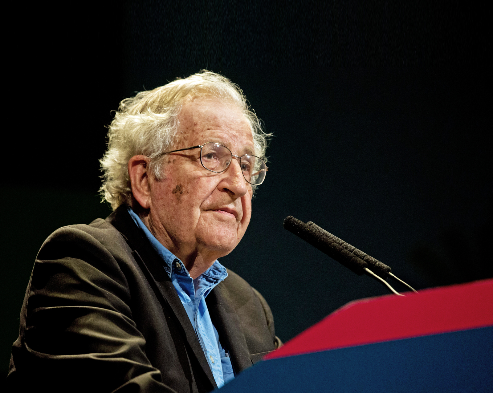 Noam Chomsky: językowy rewolucjonista - Pulsar
