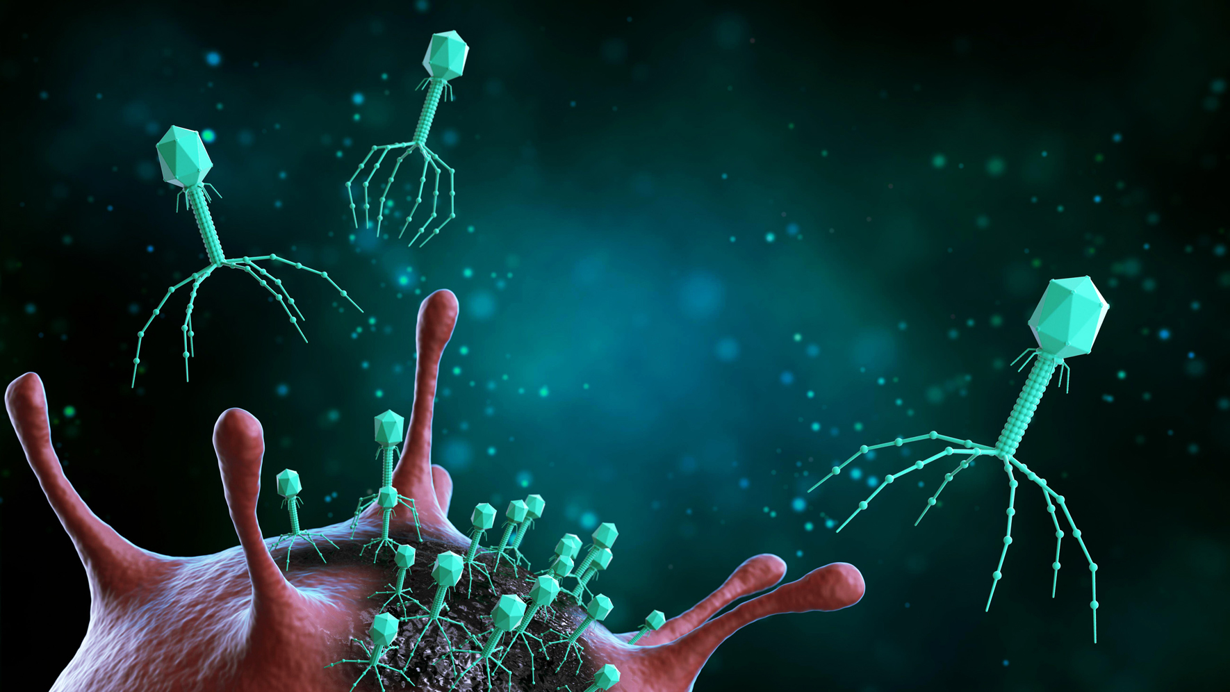 Bioinżynieria. System edytowania genów CRISPR/Cas. Bakteriofagi a ...